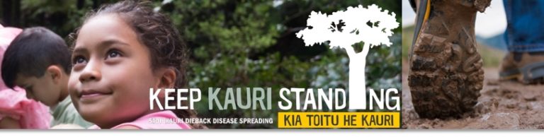 You can help fight Kauri Dieback