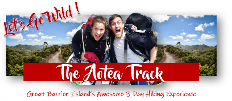 The Aotea Track, Great Barrier Island