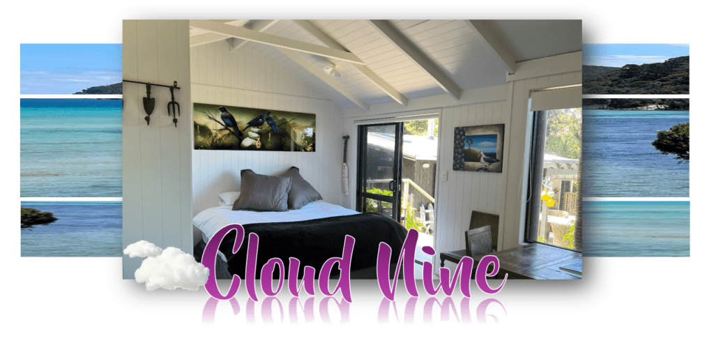 Cloud Nine – Tryphena – Great Barrier Island